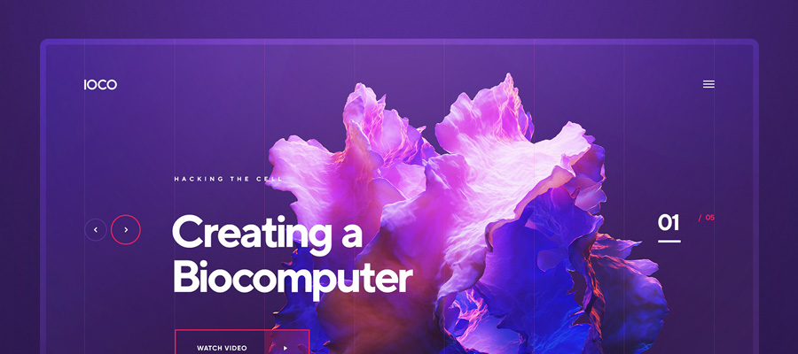 7 Important Principles Of A Good Website Design - icanbecreative